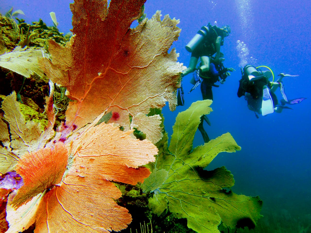 Scuba Diving | Dominican Republic Holiday Trips