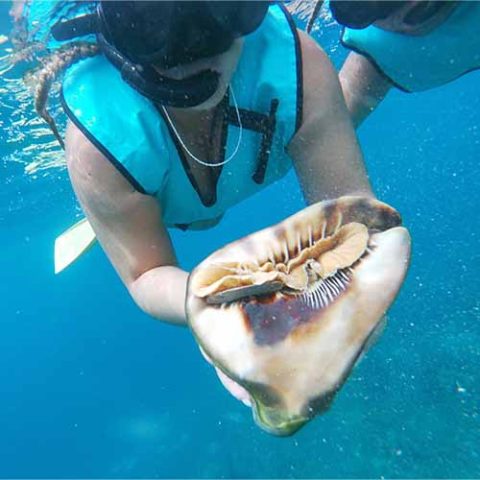 Snorkel Tour | Dominican Republic Holiday Trips