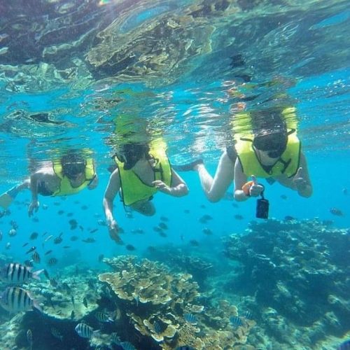 Snorkel Tour | Dominican Republic Holiday Trips